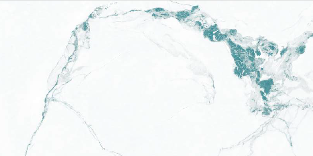 VIOLA MERLIN (POLISH) 800X1600 – Kajaria Tiles Australia/ QBISA