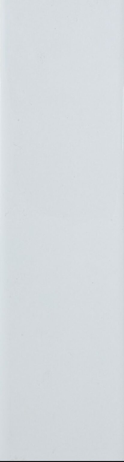 N-Subway White (Gloss) 75×300 (6mm) – Kajaria Tiles